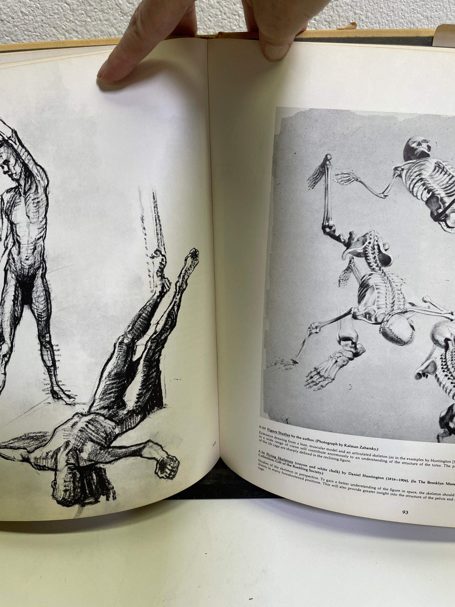 How to Book - Human Anatomy & Figure Drawing by Jack Kramer attic no r