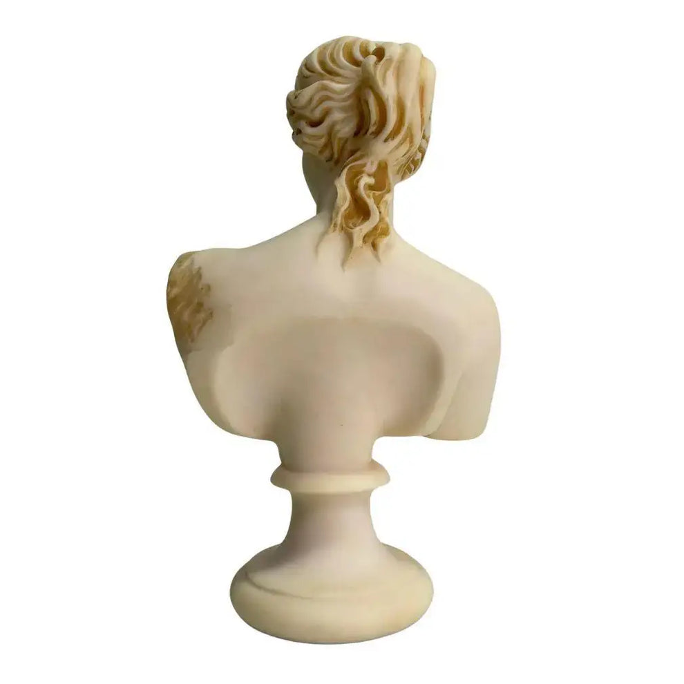 Venus de Milo Aphrodite of Melos Bust Bookshelf Statue Ancient Greek 9 ...