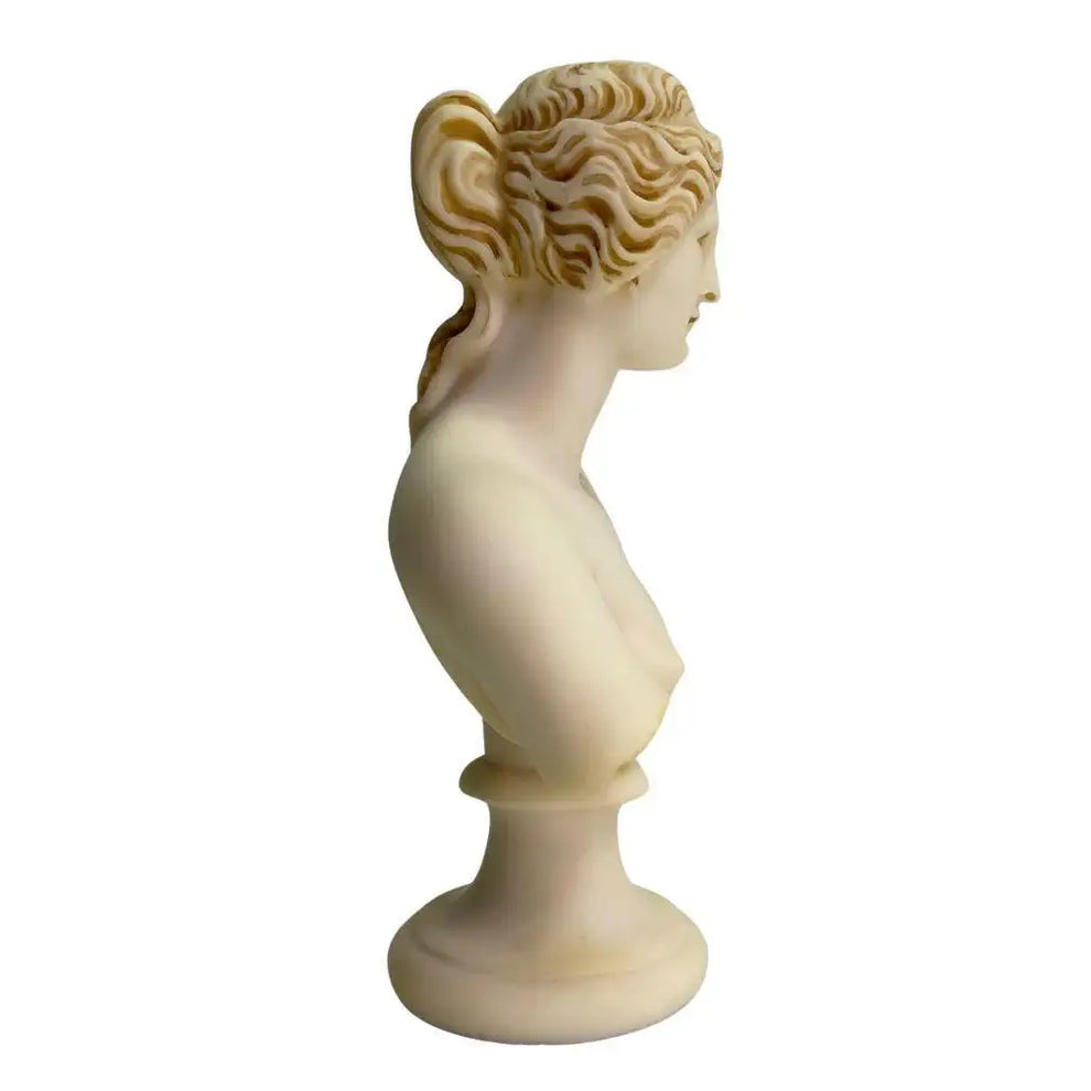 Venus de Milo Aphrodite of Melos Bust Bookshelf Statue Ancient Greek 9 ...