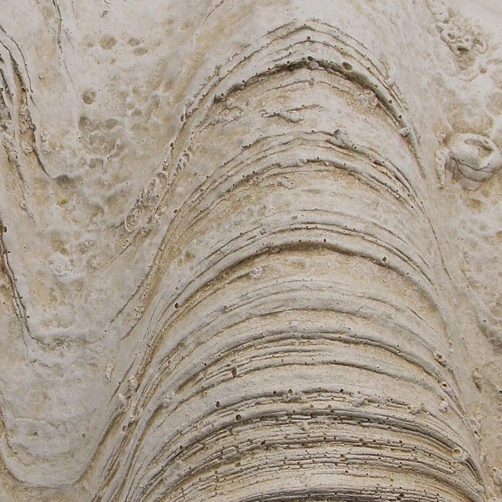 Clam Shell Garden Art Statue Lifelike Cement 22.5W – Museumize.com